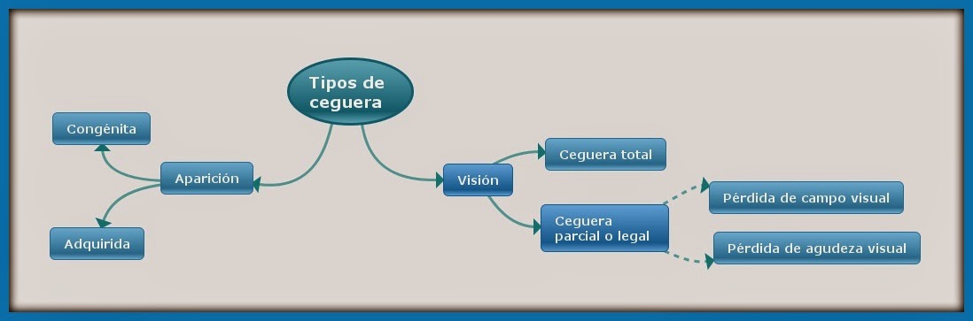 La Ceguera en la Educación: Discapacidad visual y sus tipos