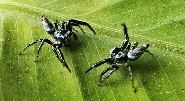 Do you remember? (Part 2) ~ Witcast Blog