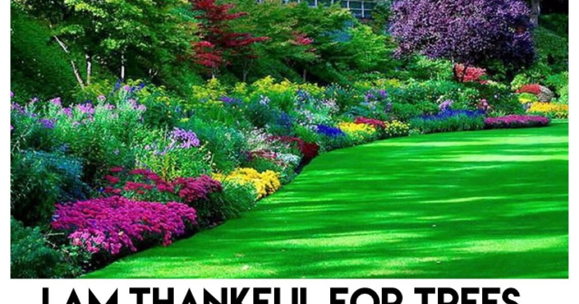 I am Thankful for Trees, Plants & Flowers