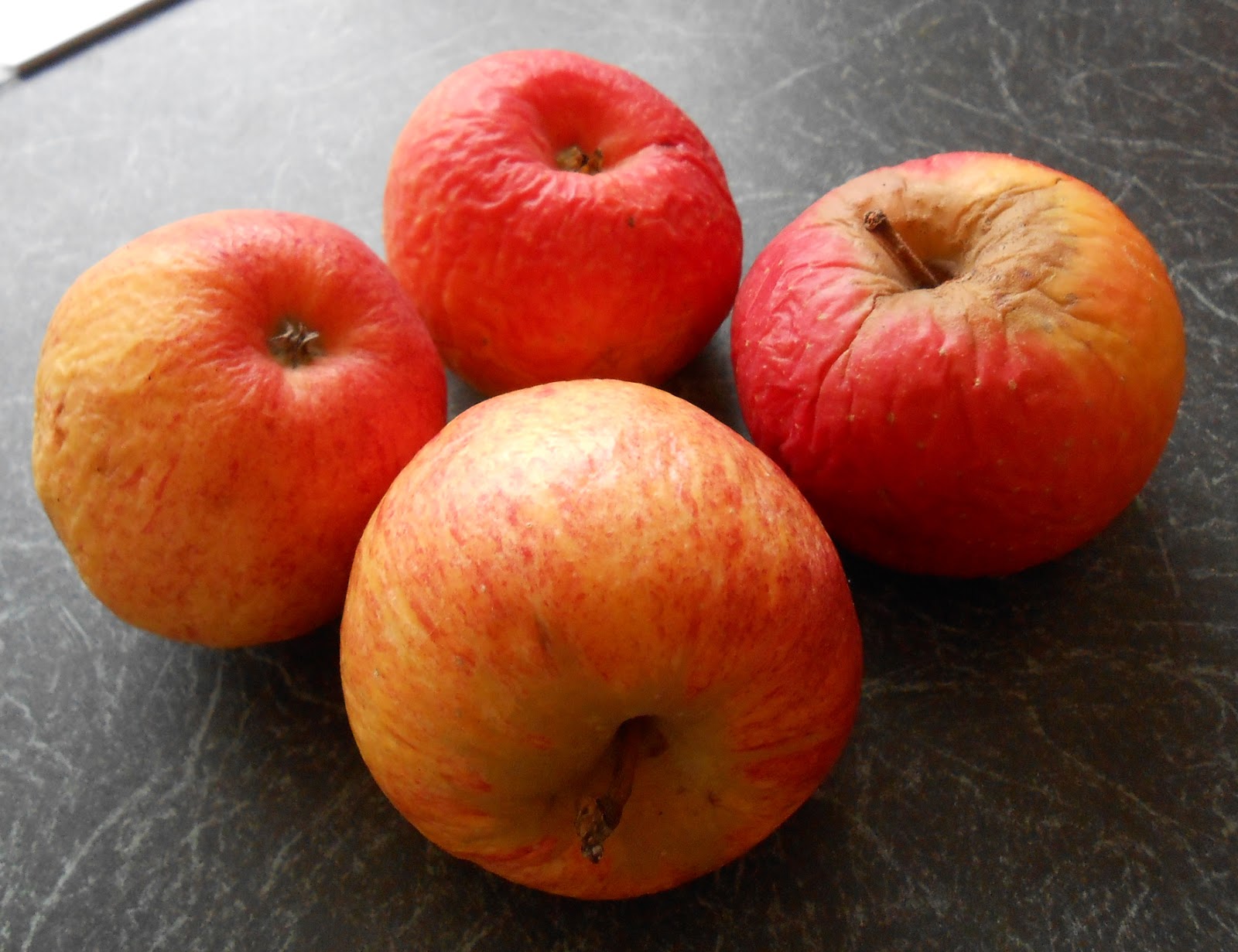 Carolyn's world: Withered apples and all that stuff