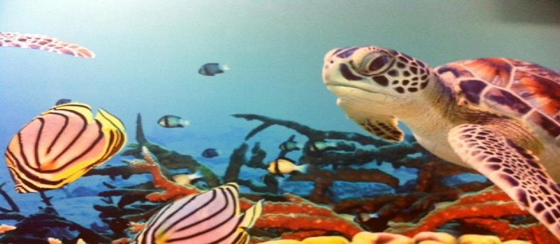 Clemmons Pediatrics: Dr. Michelle Linkous