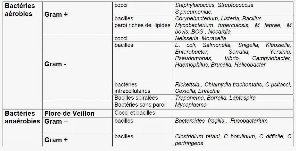 Le diagnostic bactériologique d'une infection(partie 2)Isolement et ...
