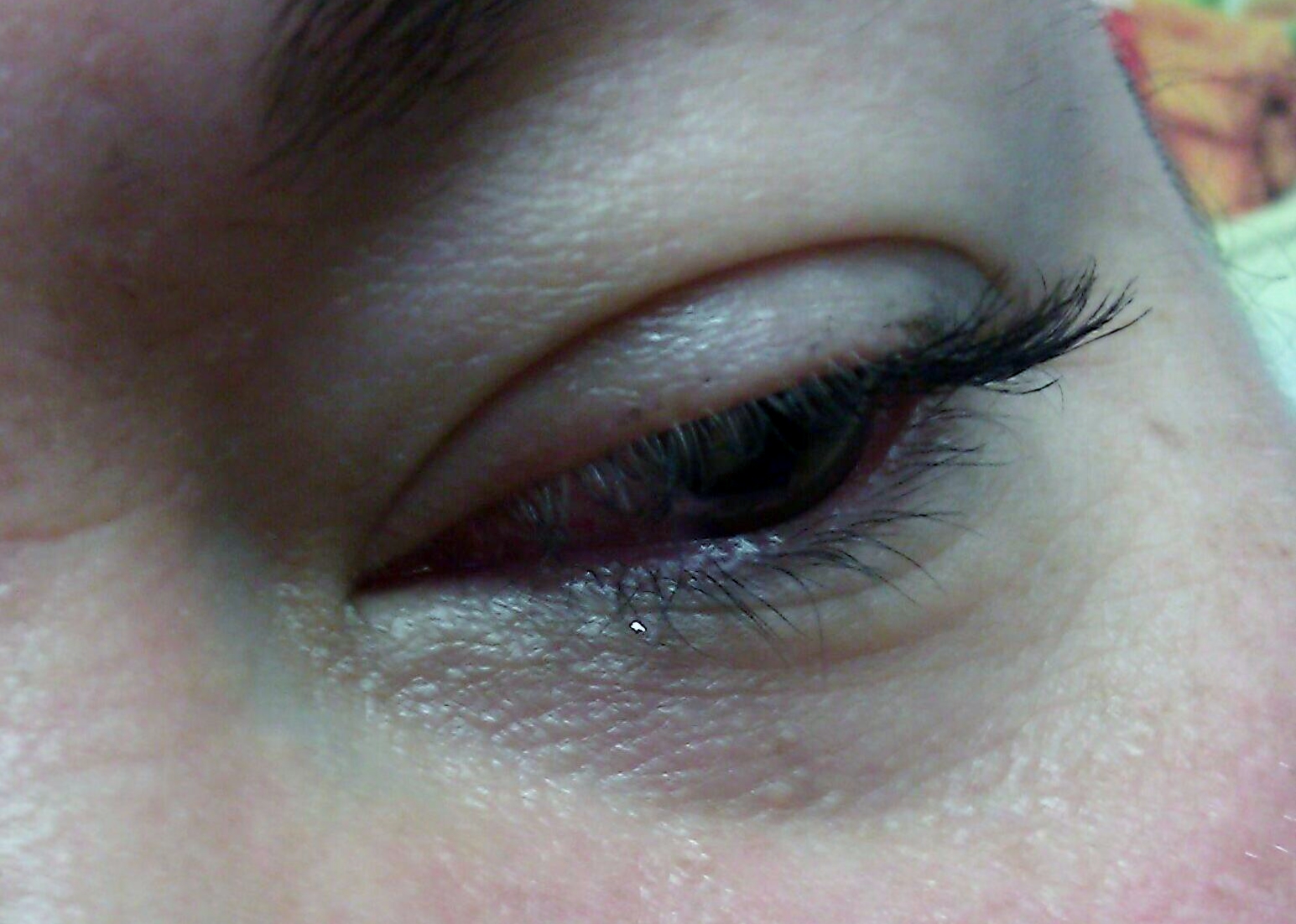 Guadalupe House Ministry : An update on the Escarchas...