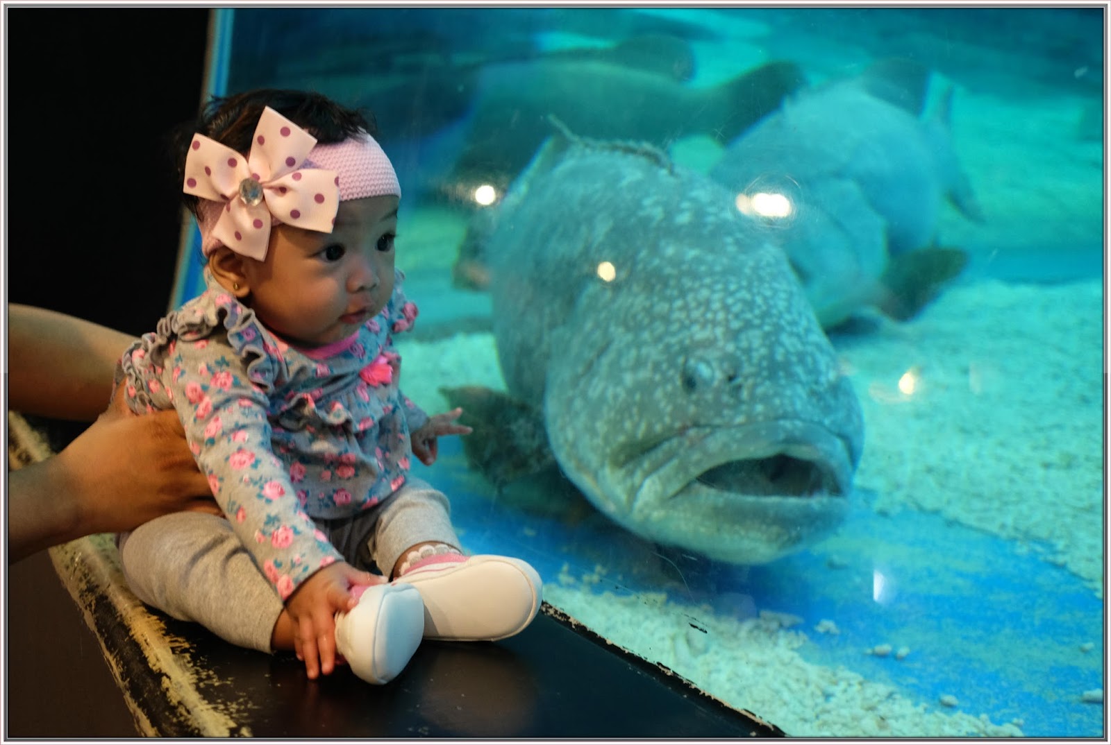 Our Journey Towards Parenthood: Happy 5th Month Rhaine | My Little ...