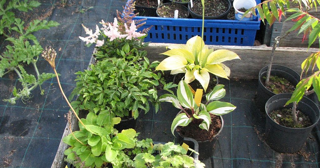 kahe valla piiri peal: ära kunagi ütle mitte kunagi :)