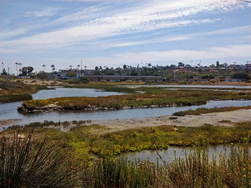 Birding Site Guide: Why don't I like Famosa Slough? - Greg in San Diego