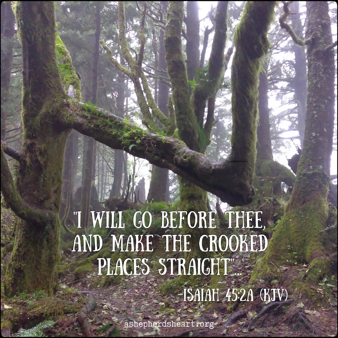 A Shepherd's Heart: Growth In Unexpected Places.