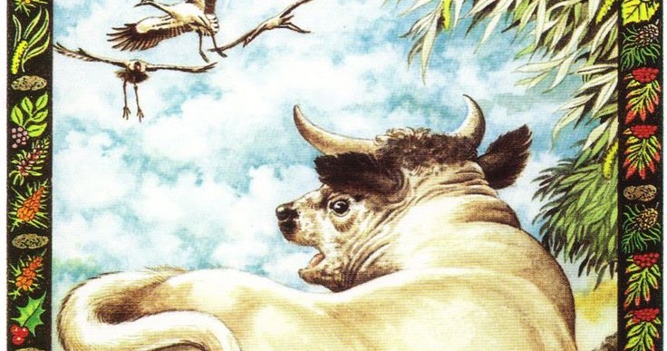 Druids Raven: Druid Animal Oracle: BULL