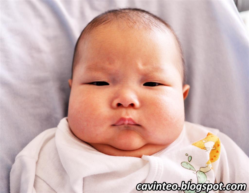 Entree Kibbles: Invasion of The Bulldog-Cheeks Baby