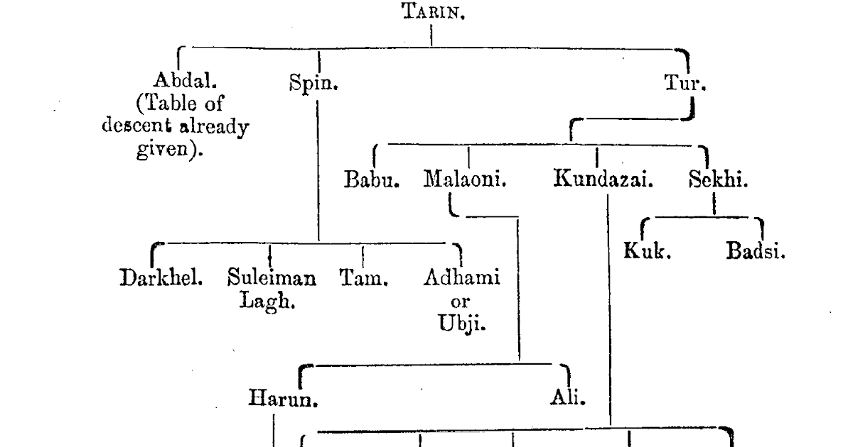 History of Pashtuns: Tarin tribe