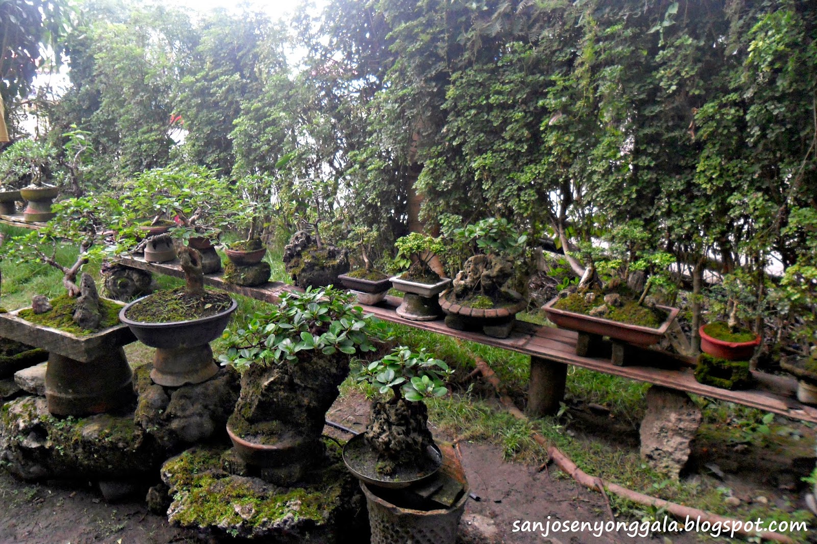 San Josenyong Gala: Kaputian Beach and the Samal Art Legacy