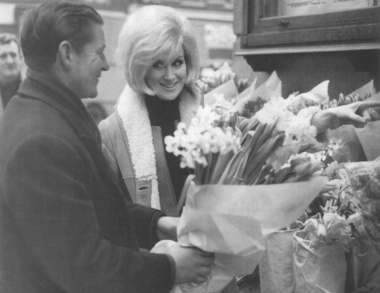 Dusting off Dramaturgy: Diane Torr @ Edfringe 2015 | The Vile Blog