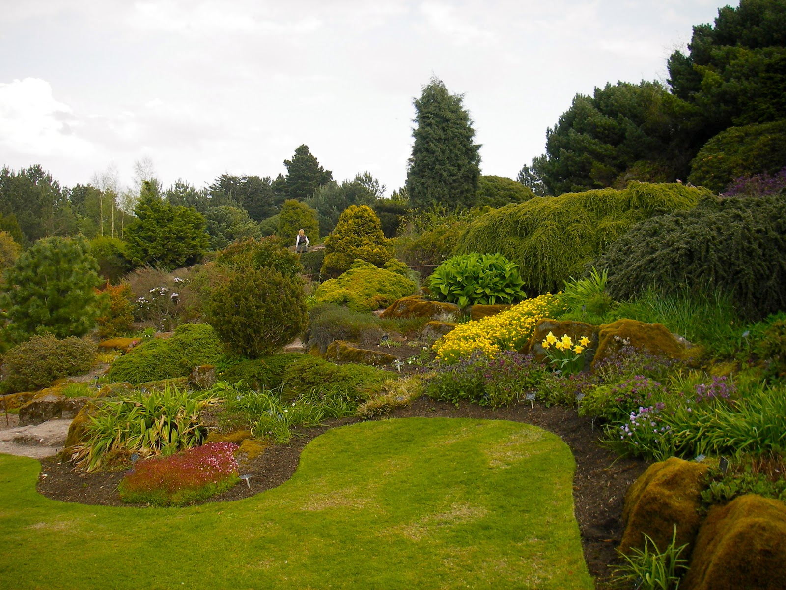 Plants in High Places: Rock and Alpine Garden Adventures: First week