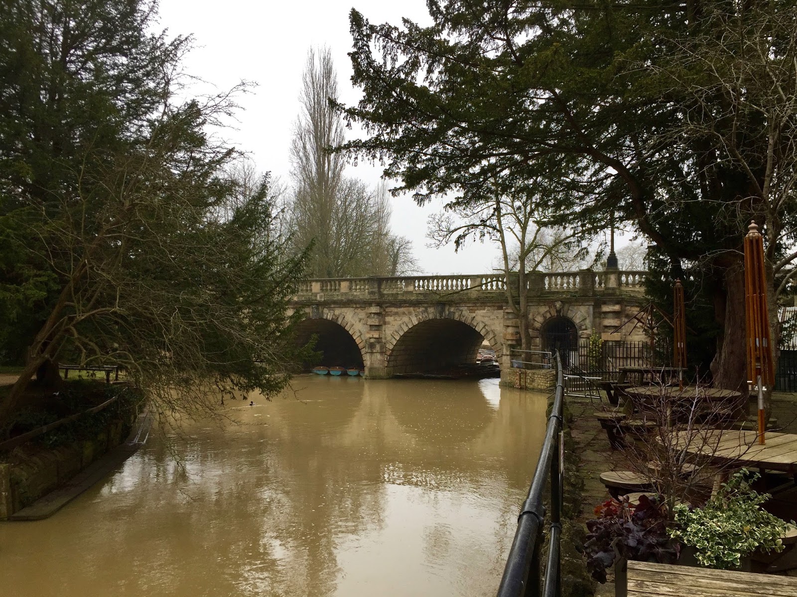 Curiouser and Curiouser: Magdalen College at Oxford