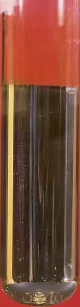 The Silver Mirror Test