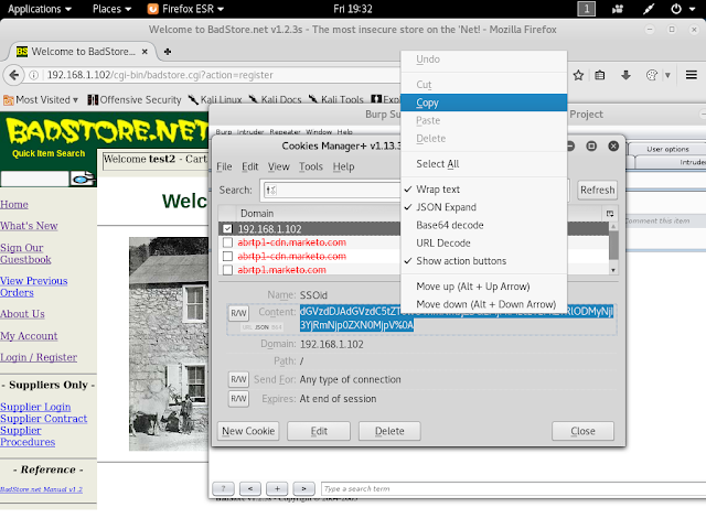 Badstore Vulnerabilities
