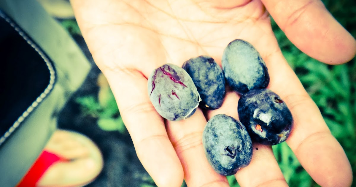 Tita Arlet: Kalumpit: Don't pop that cherry