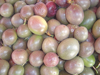 TEKNIK BERTANAM BUAH MARKISA | Tips Petani