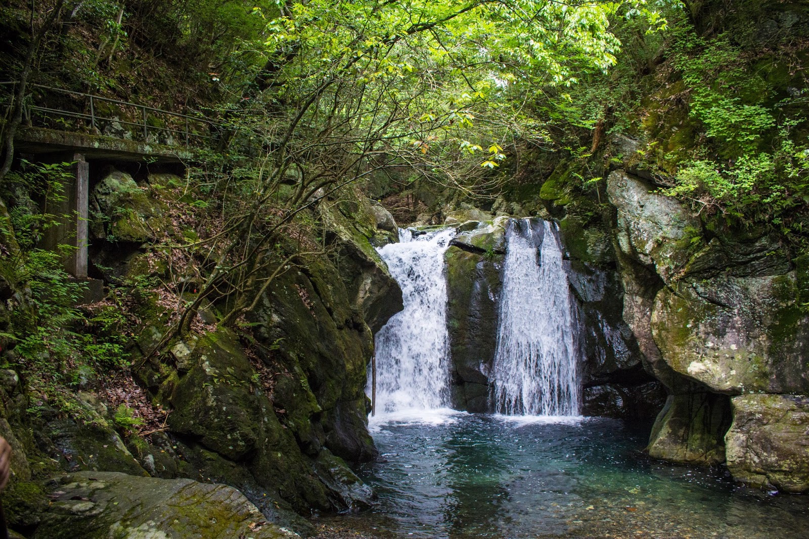 Tenaciously Yours, Jessica Guthrie: Three Falls... three boys... and a ...