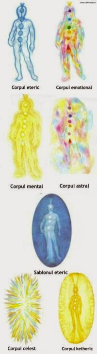 Lectii Spirituale: Anatomia energetica