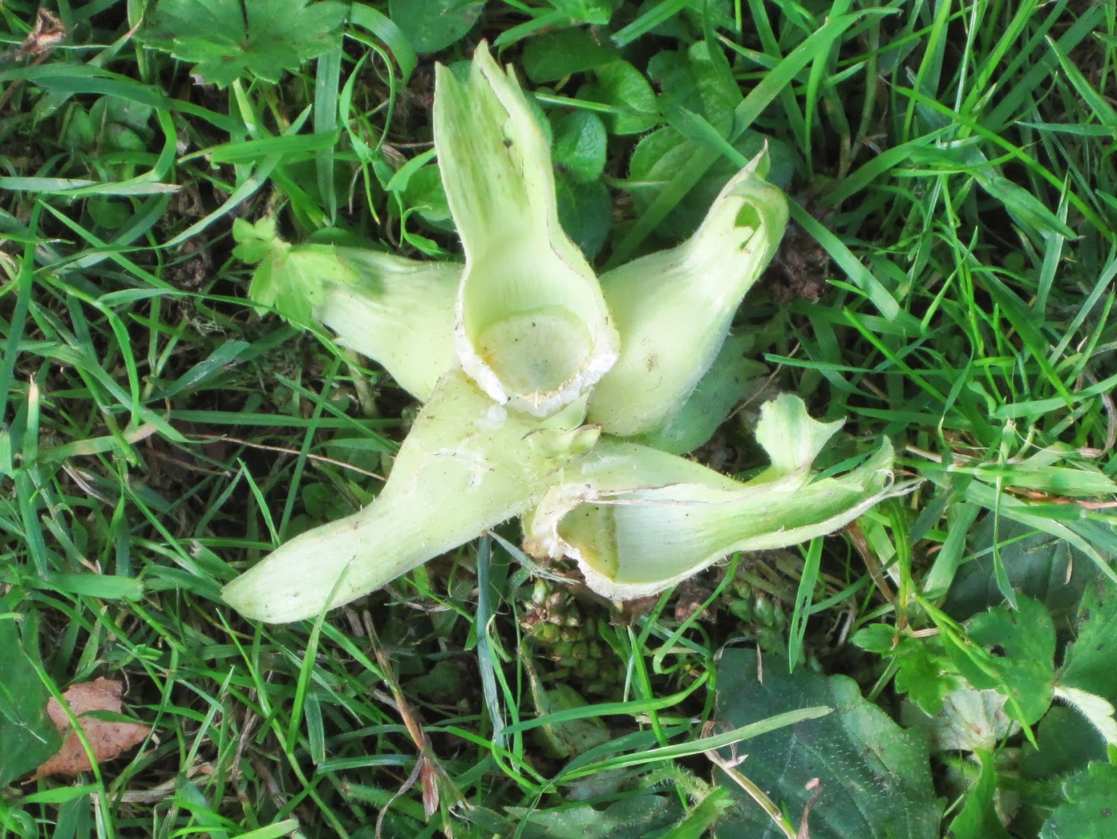 Filnore Woods Blog: September 2013