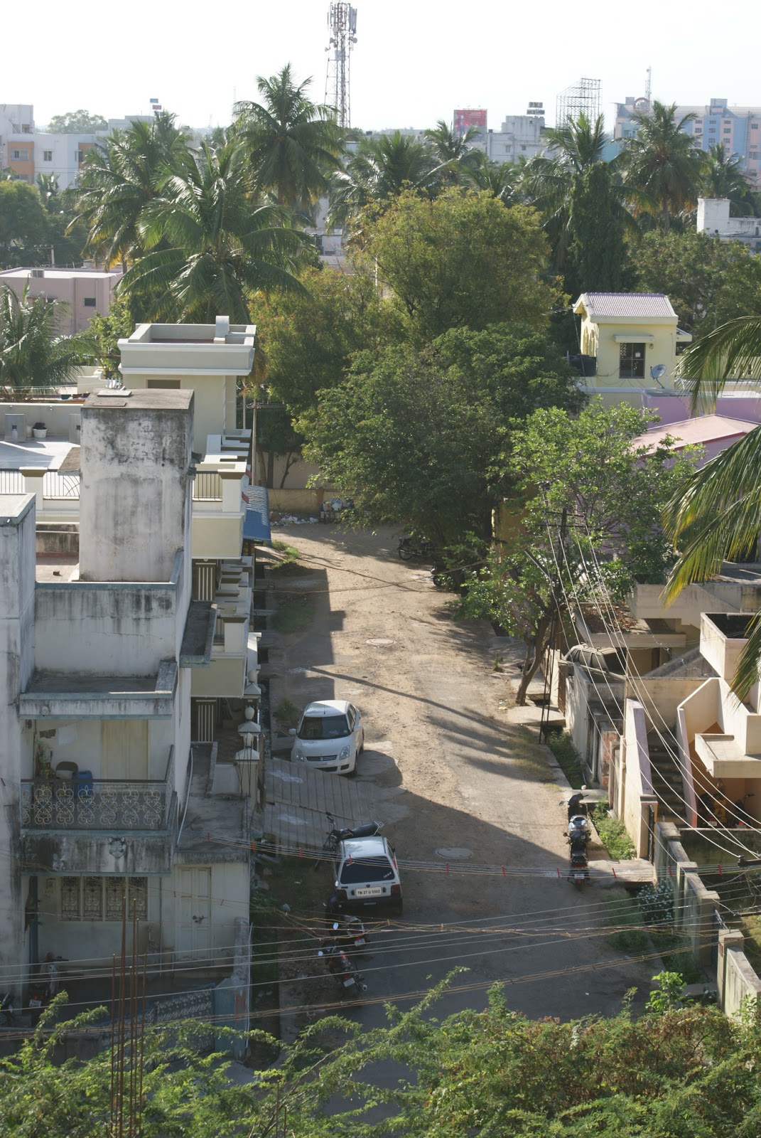 Inverted Coconut: Pictures