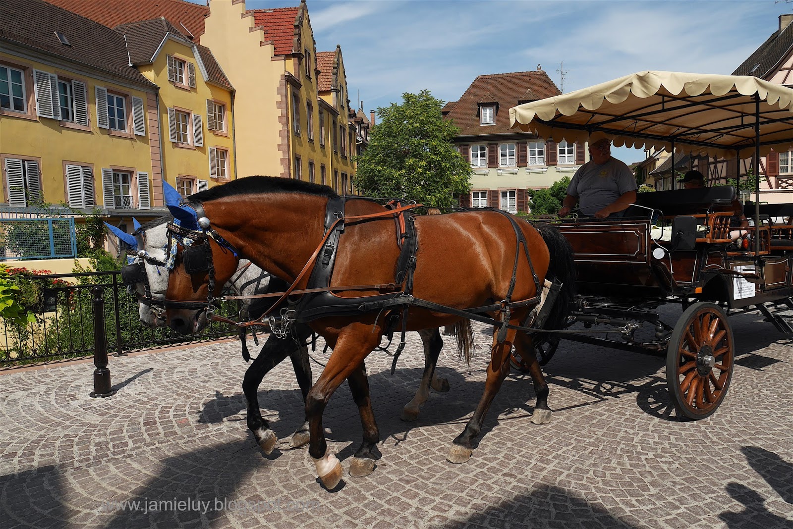 Jamie: Charmed by a Day in Colmar, France