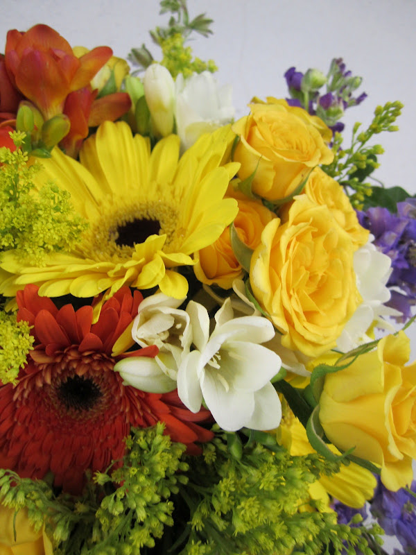 Tish Long Flowers: Summer Garden Blooms