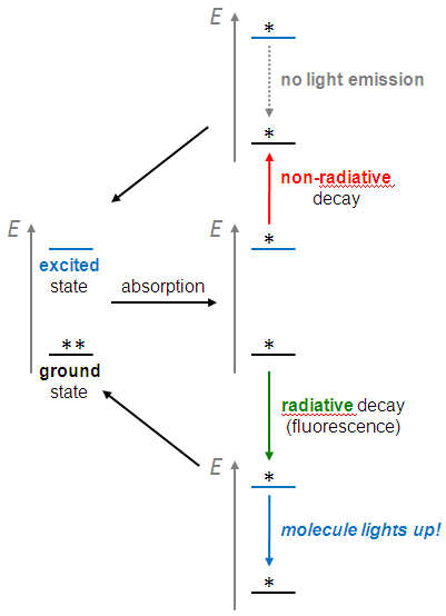 Tree Town Chemistry: 2014