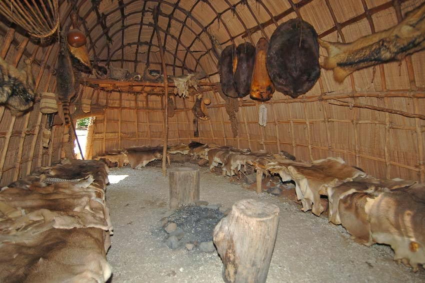 A Journey with Midwives- The Story of Birth and The Quest for Social ...