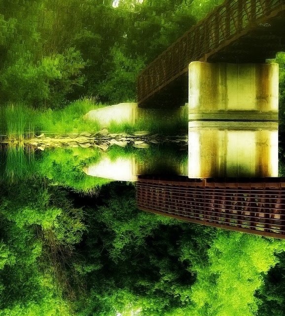 Fresh Pics: 30 Outstanding Examples of Reverse Reflection Photography