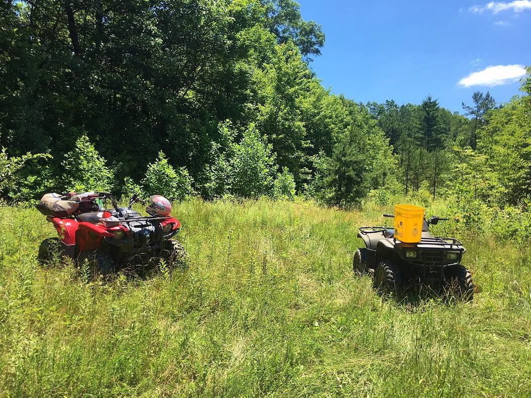 We Live In The Country!: ATV fun YEAR 'ROUND in McDowell Co,. # ...