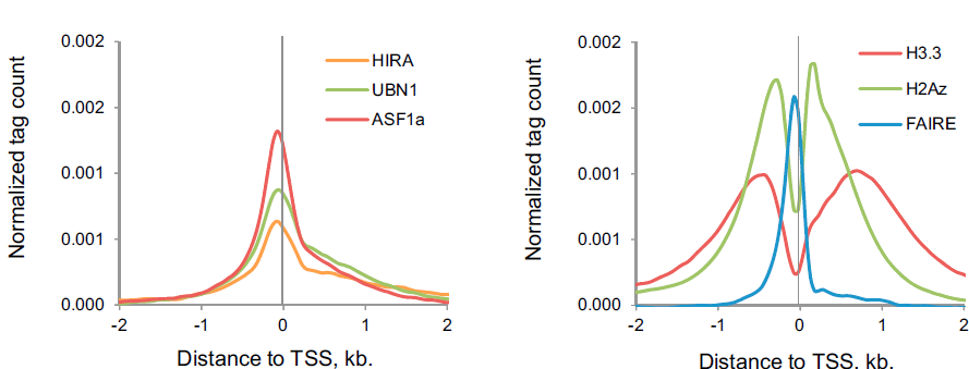 Placing the HIRA Histone Chaperone Complex in the Chromatin Landscape