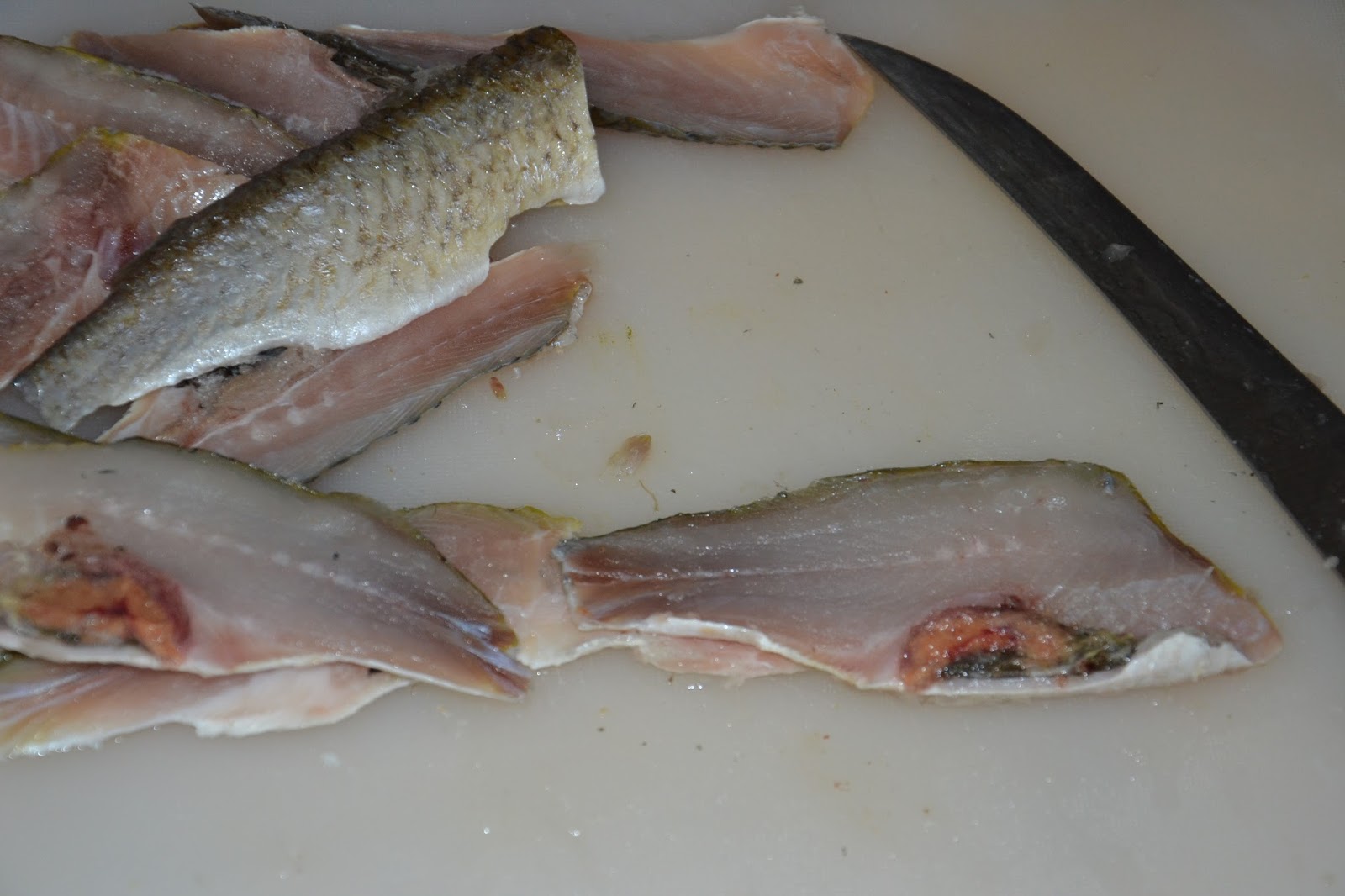 Oppdag Fisk!: Flathodet Grå Mulle/Flathead Grey Mullet/Striped Mullet ...