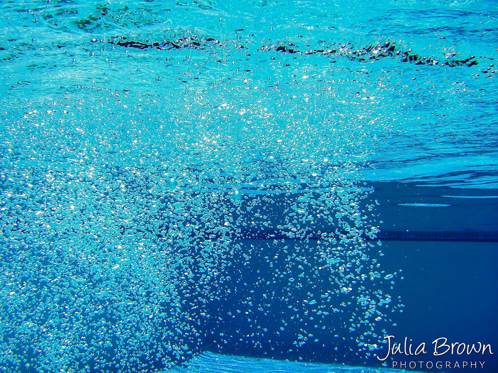 Julia Brown Photography: Bellevue Photographer | August 2012 Photo of ...