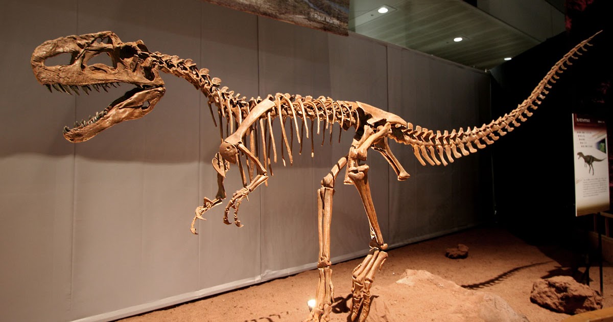 Variety of Life: Tetanurae