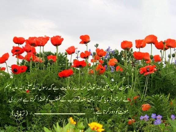Hadees About Sadaqah In Urdu ~ Allah, Islam, Quran, Wallpapers ...