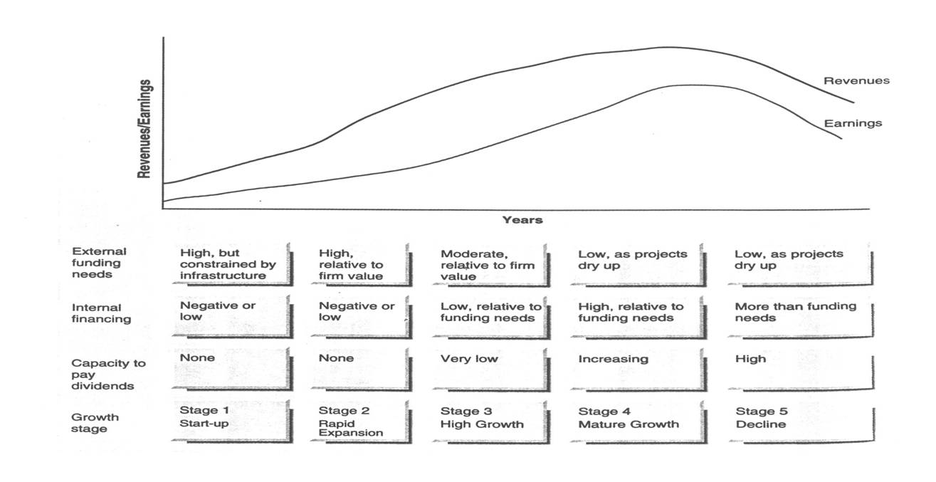 farah's blog: DIVIDEND POLICY