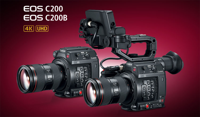 Michael Daniel Ho - The Wildlife Ho-tographer: Canon C200 and C200B ...