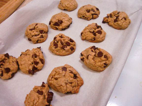 Cogito Ergo Consume: Bribe Cookies