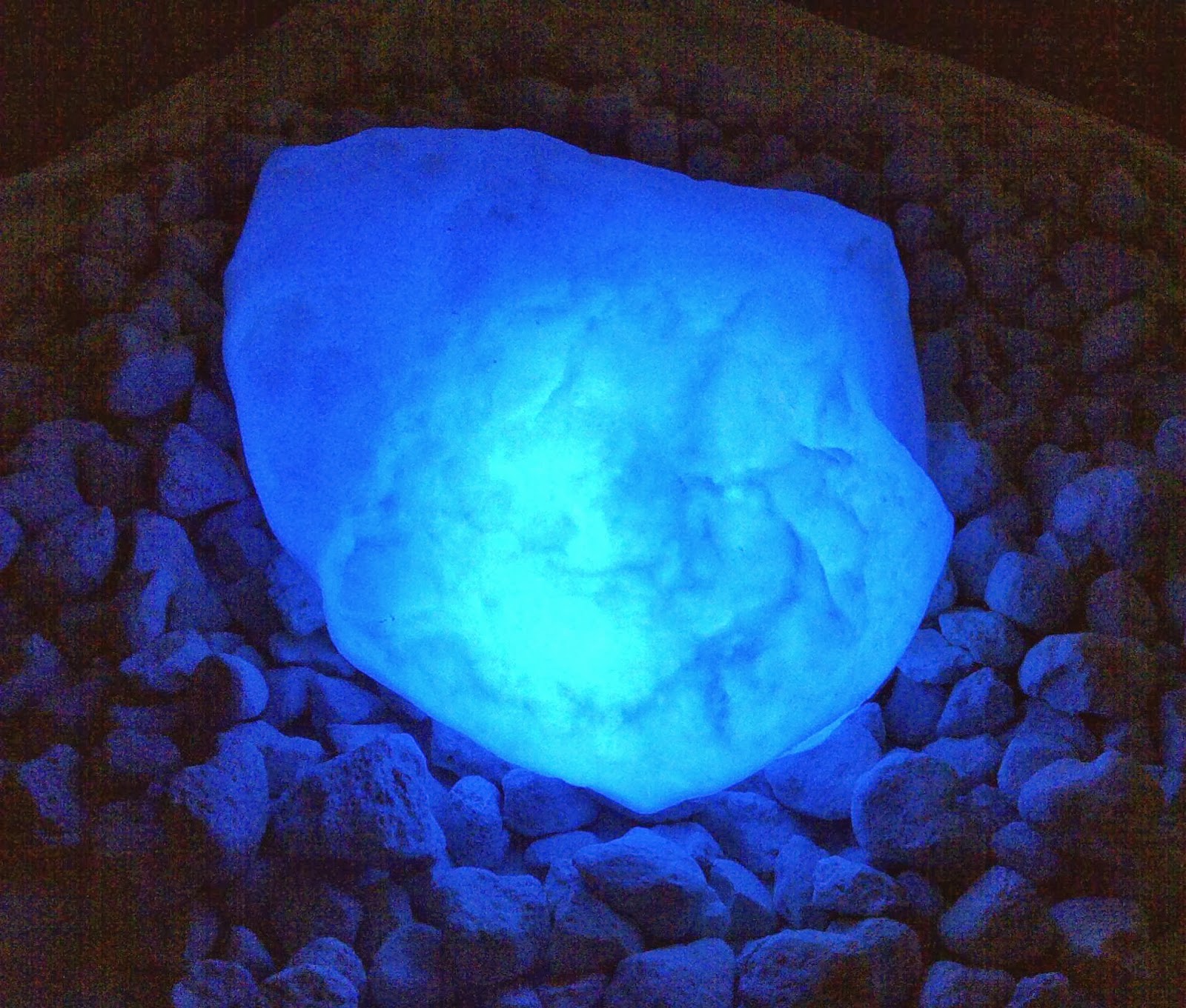 All about plants and planters: Glow me the way to go home...