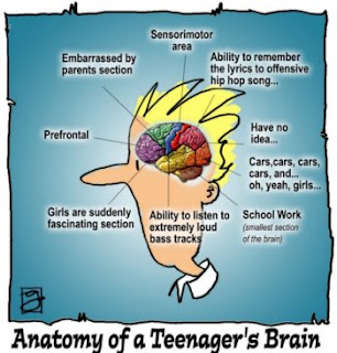 A Pinch of Everything: The Mush-Brained Adolescent