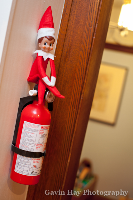 Gavin Hay Photography: Elf on the Shelf