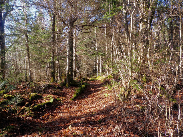 An Idiots Guide to Peakpagging and Hiking in New England: Mount ...