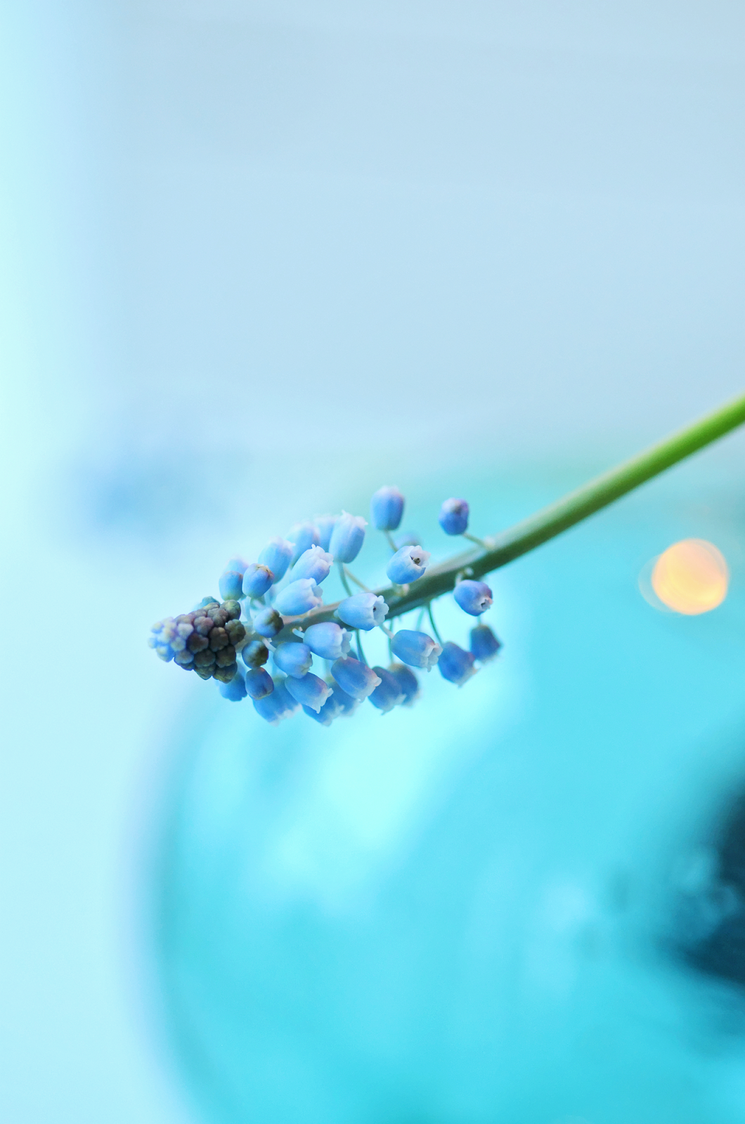 Huset i Lunden: mars 2014