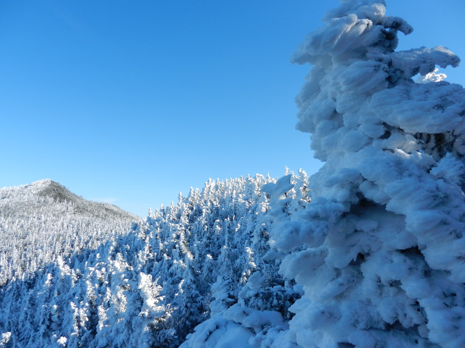 Off on Adventure: McKenzie & Haystack Mountains - Lake Placid, NY - 11 ...
