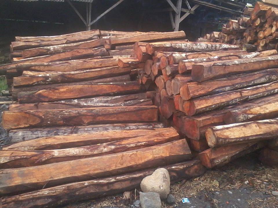 KAYU RIMBA OLAHAN : KAYU RIMBA OLAHAN