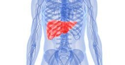 Liver Pain: Causes And Symptoms Of Liver Pain