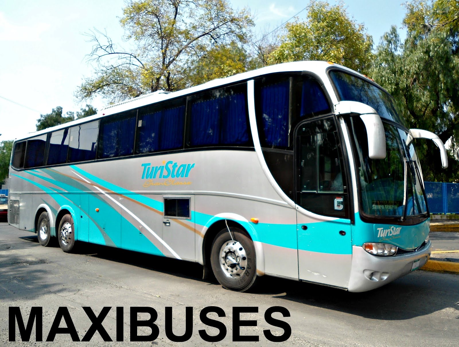 MAXIBUSES: TURISTAR GRAN CLASSE (TURISMO)