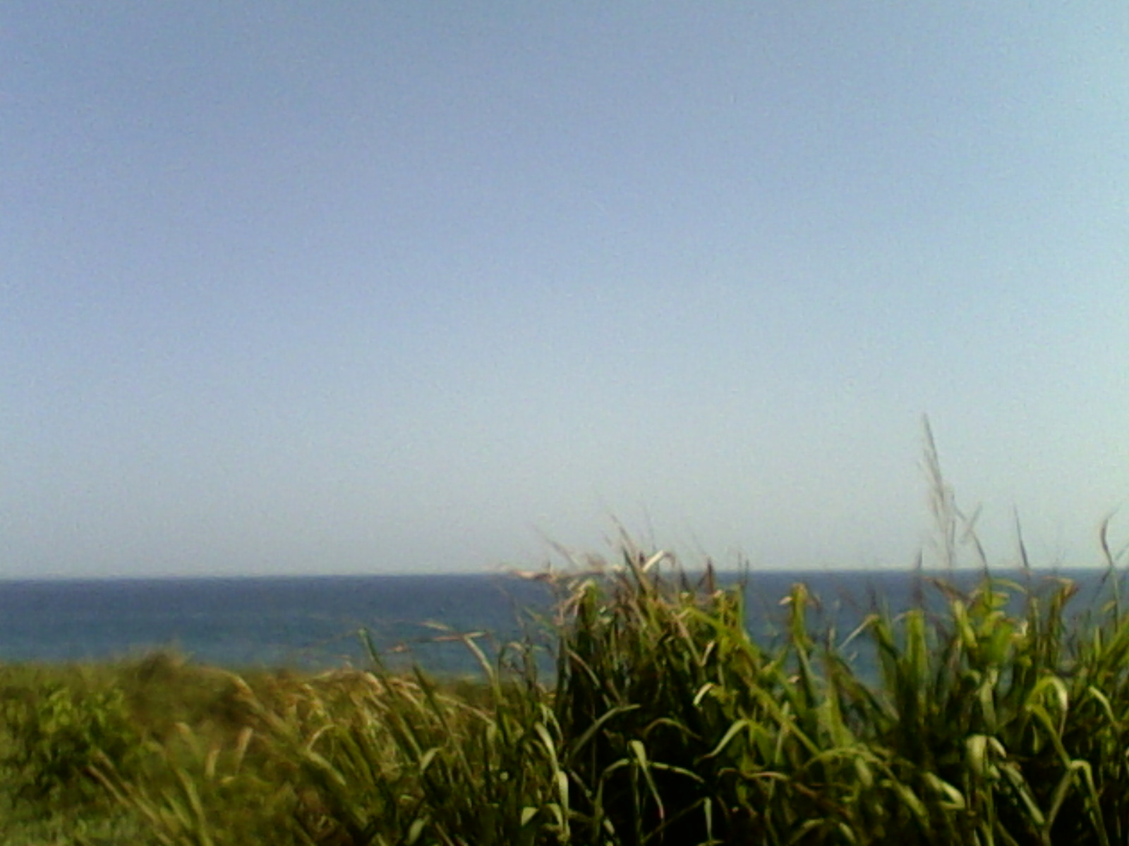 Puerto Escondido Oaxaca surfing Informaciòn turìstica: Punta Colorada ...